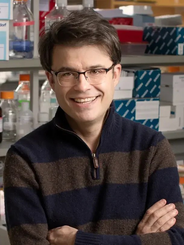 Evolution and Development of Nervous System