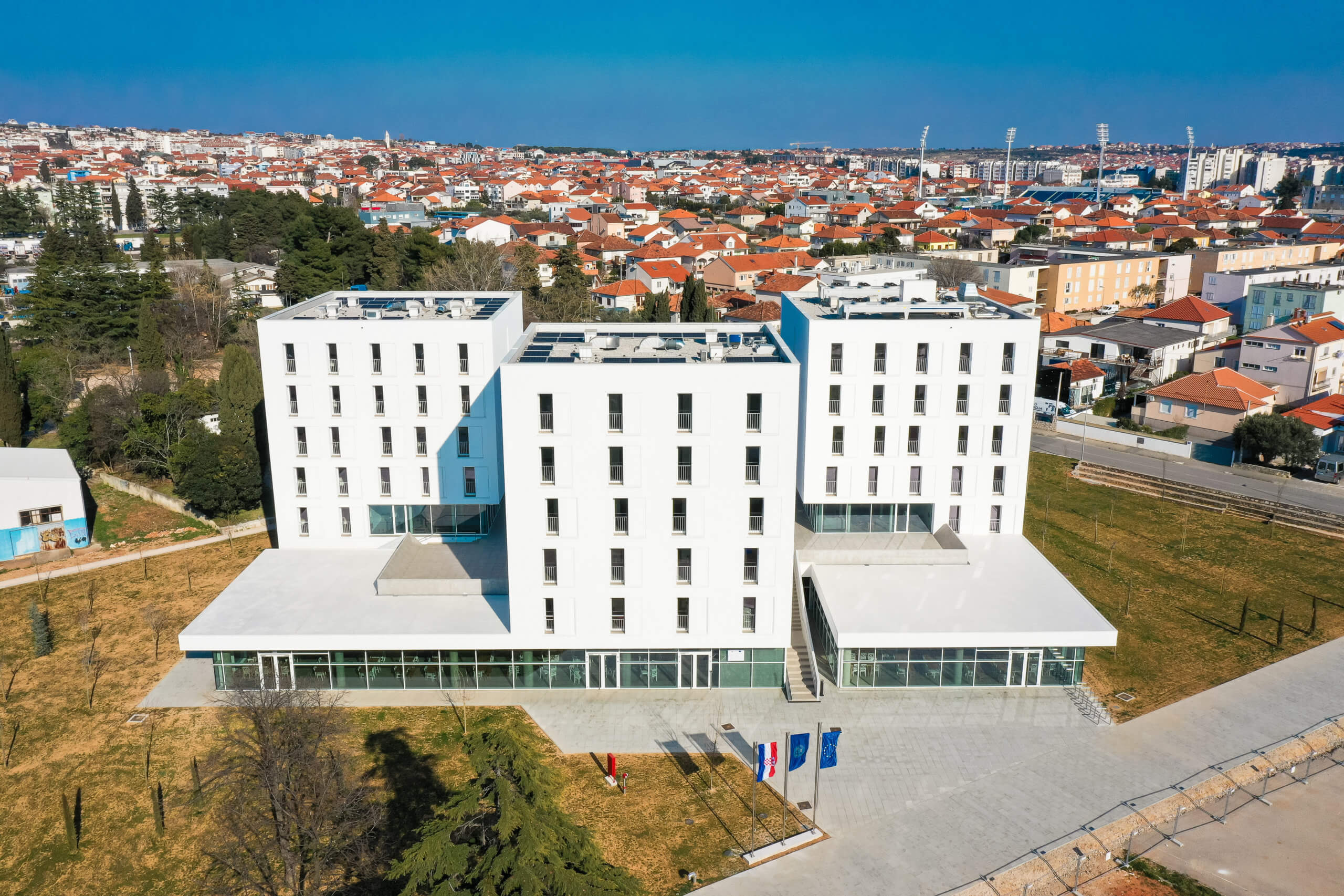 Registration and Accommodation – Evolution and Development of Nervous ...